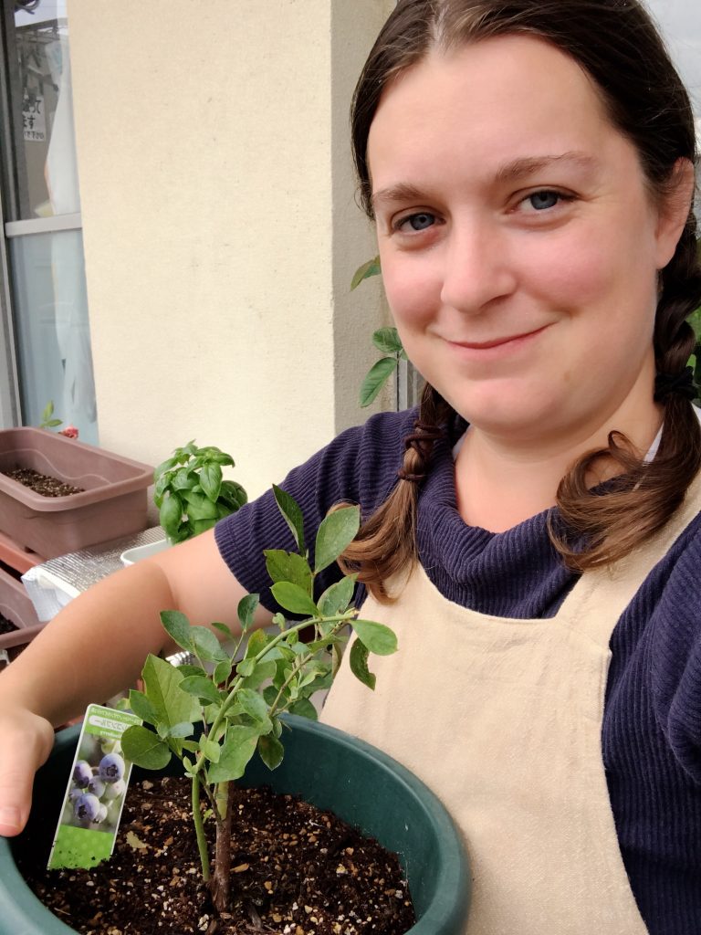 Planty To Do In Japan – AJET CONNECT