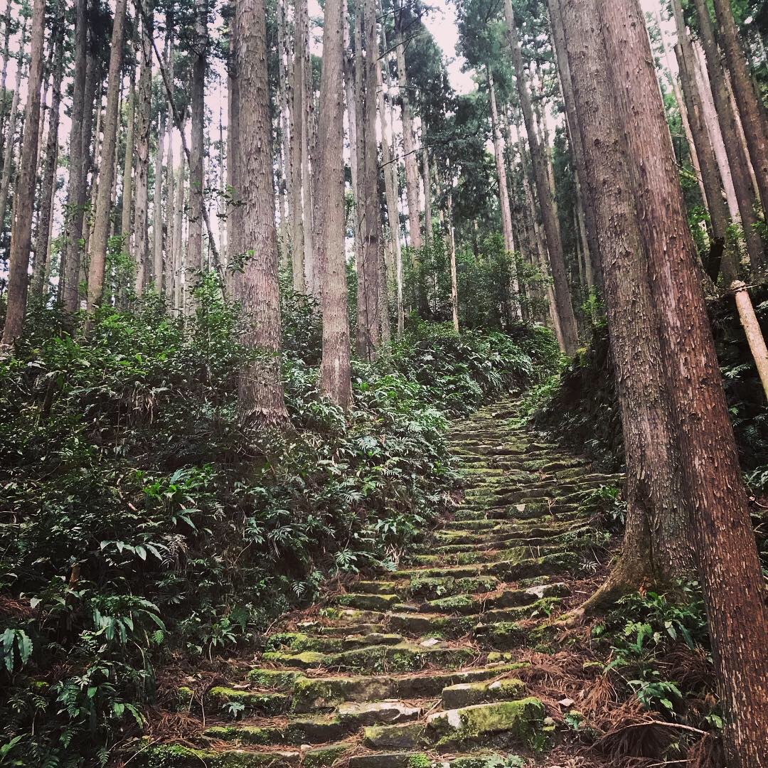 Stairway to Englightenment – AJET CONNECT