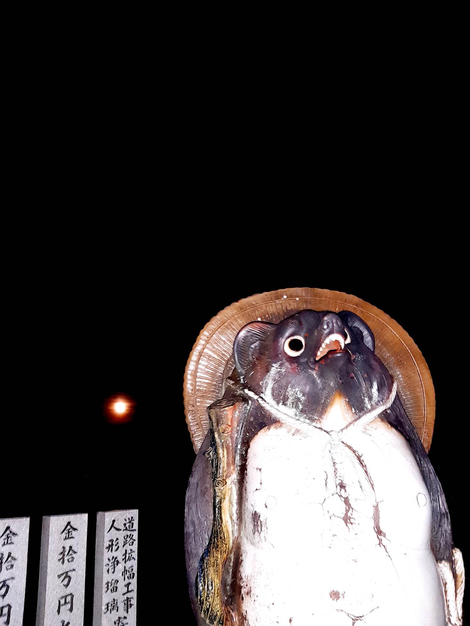 Tanuki Chasing – AJET CONNECT