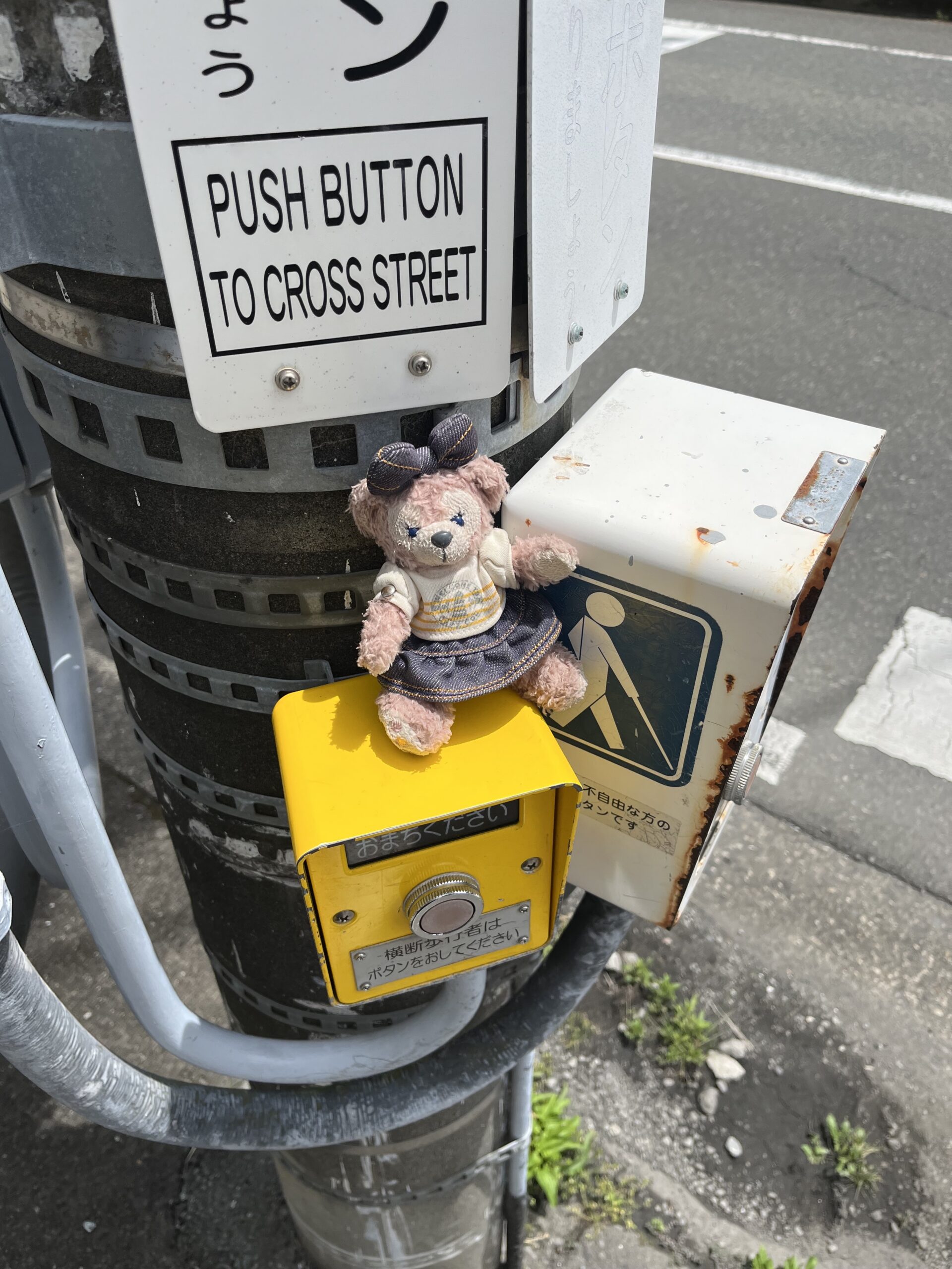 Wasuremono: Lost and Found in Japan – AJET CONNECT