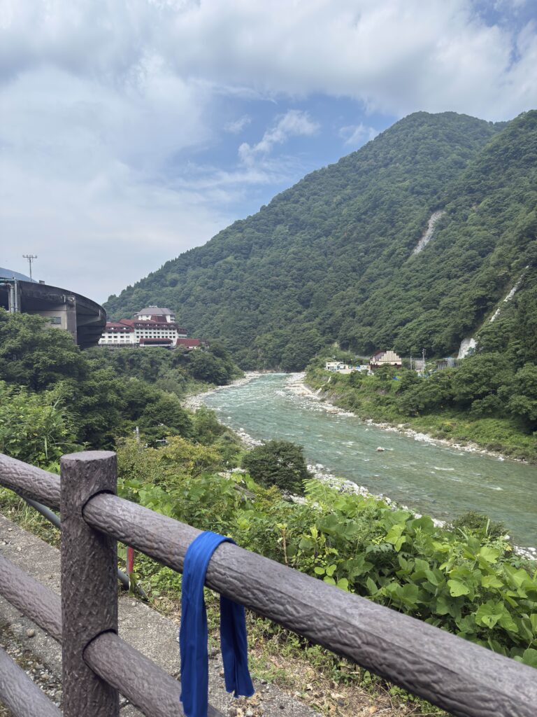 Wasuremono: Lost and Found in Japan – AJET CONNECT